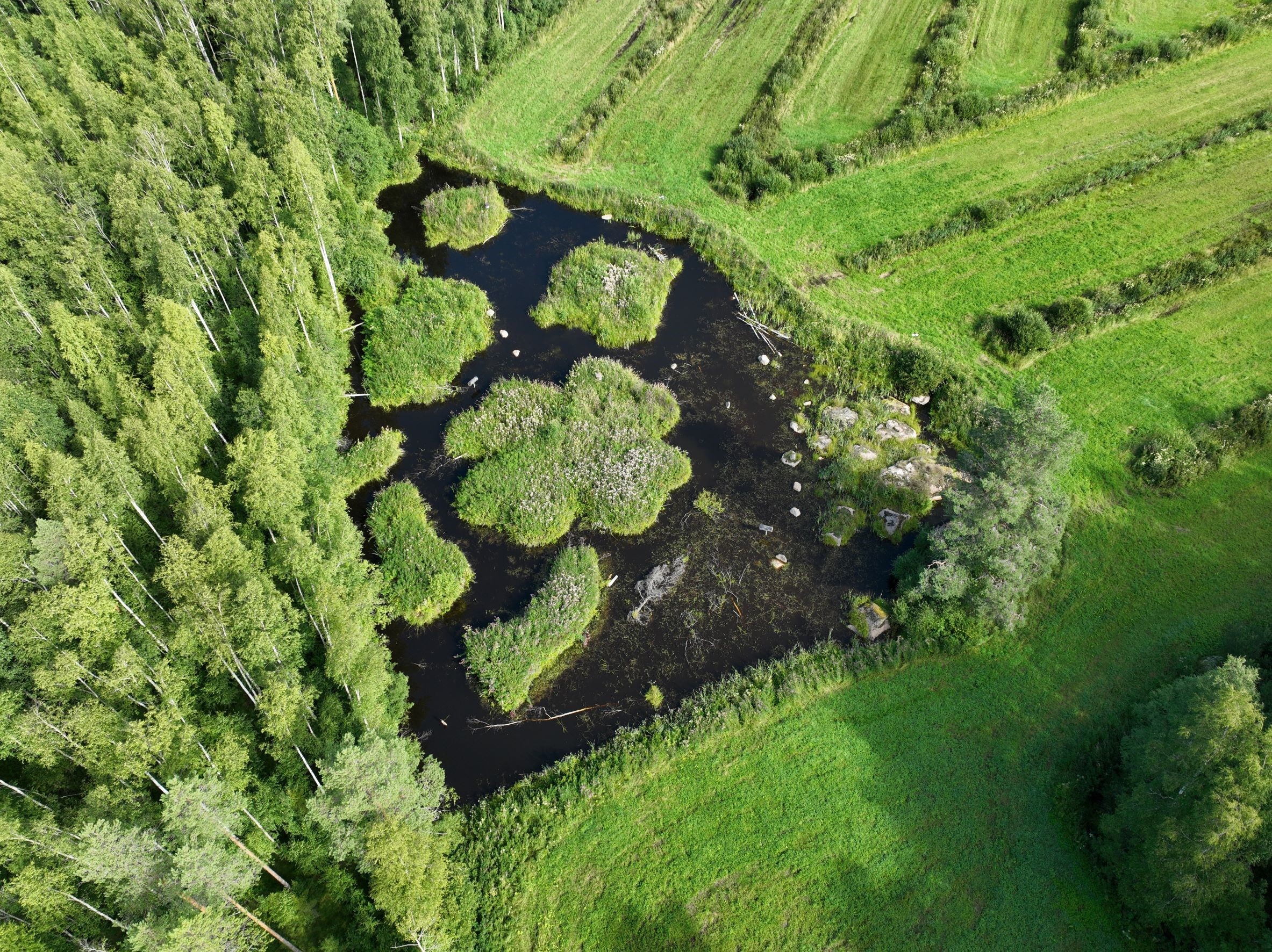 VESMO-hanke - Saimaan vesiensuojeluyhdistys ry